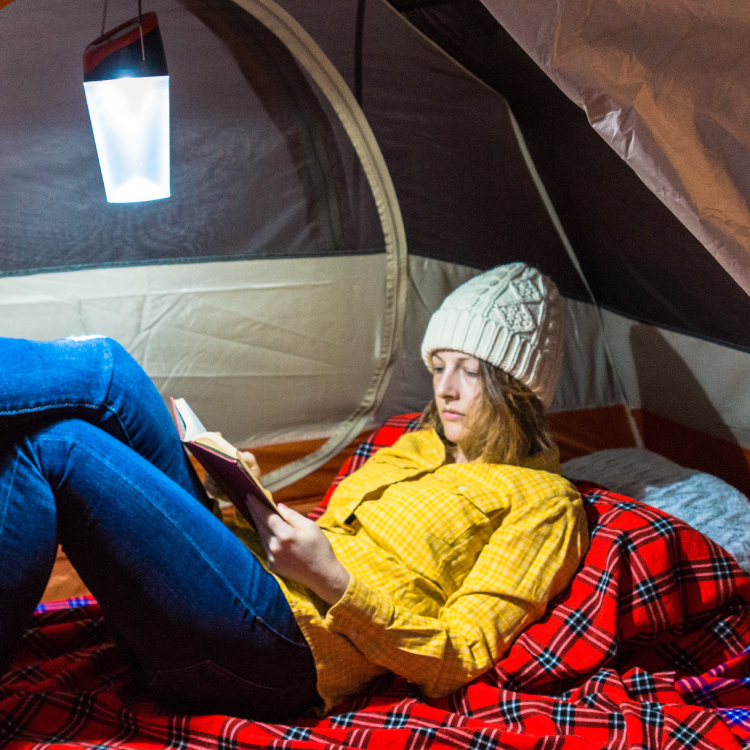 d.light Solar lighting and power solutions – store dlight