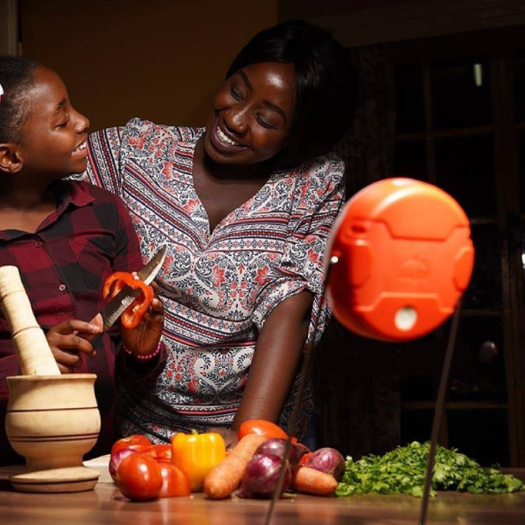 d.light Solar lighting and power solutions – store dlight